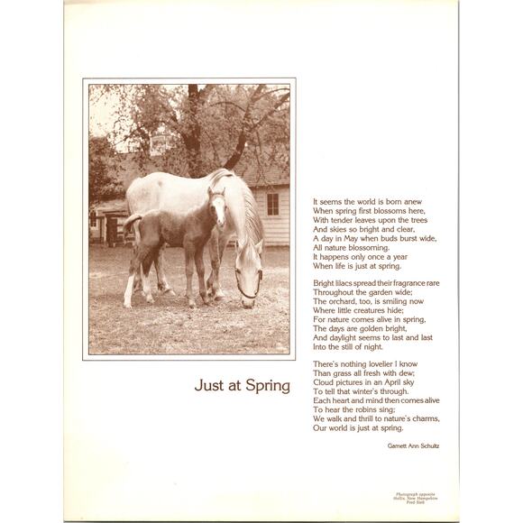 None and/or Unknown | Other | Just At Spring Garnett Ann Schultz 97s ...